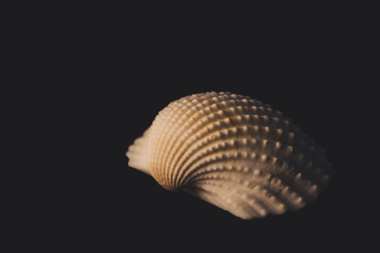 SLAE32 0x02: Shell_Reverse_TCP Shellcode - mnorris.io